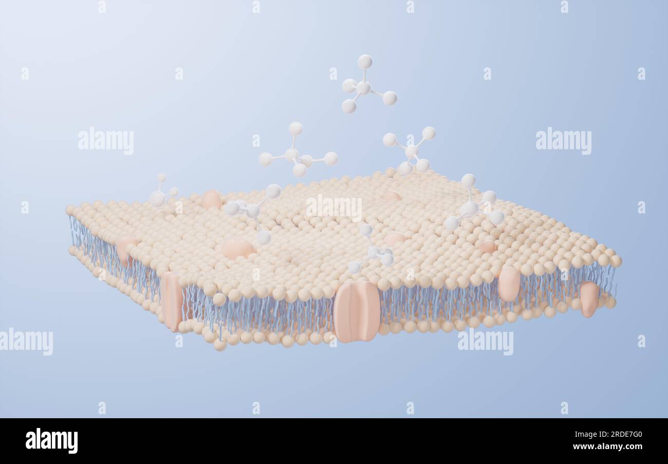 Cell membrane structure background, 3d rendering. Digital drawing Stock ...
