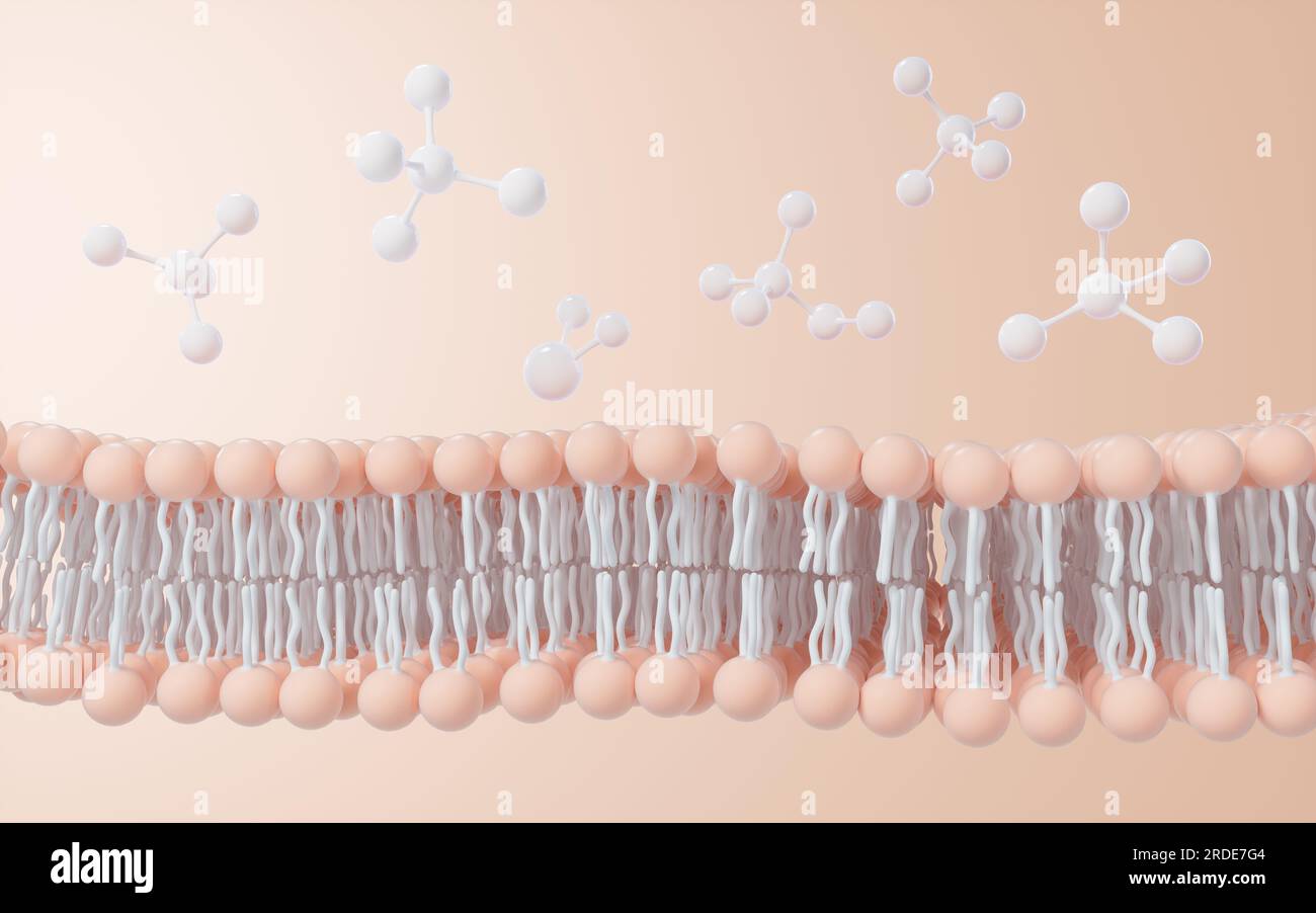 Cell membrane structure background, 3d rendering. Digital drawing Stock ...