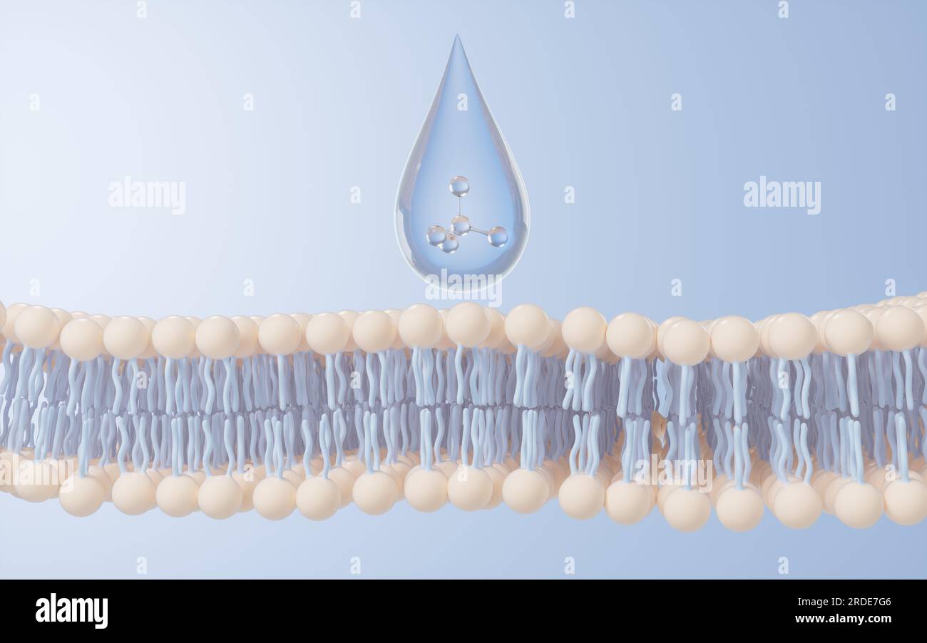 Cell membrane structure background, 3d rendering. Digital drawing Stock ...