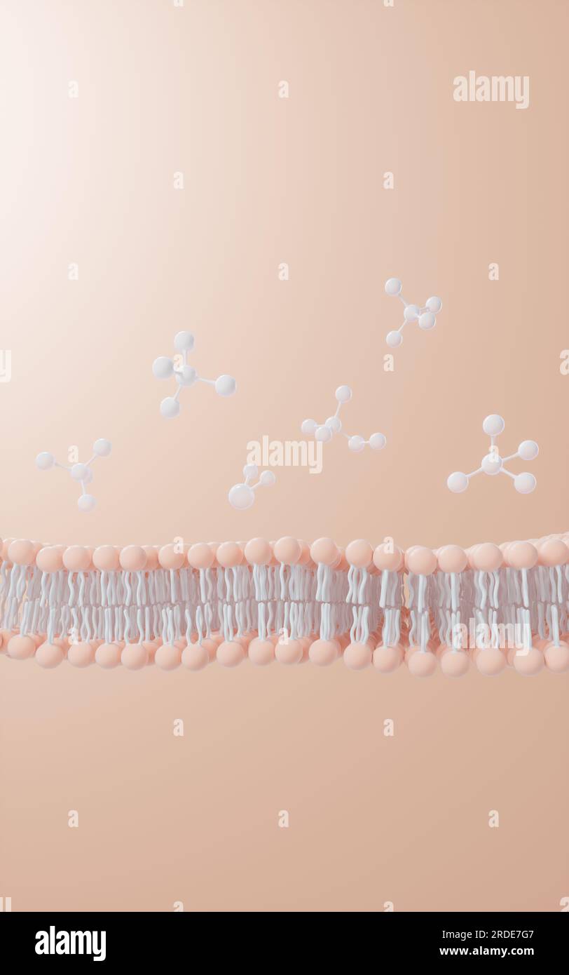 Cell membrane structure background, 3d rendering. Digital drawing Stock ...