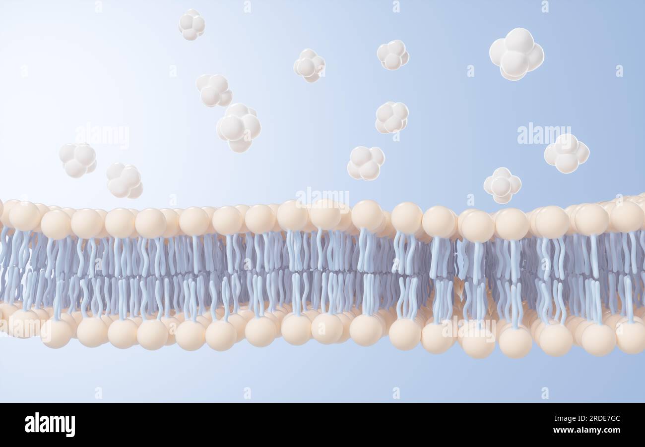 Cell membrane structure background, 3d rendering. Digital drawing Stock ...