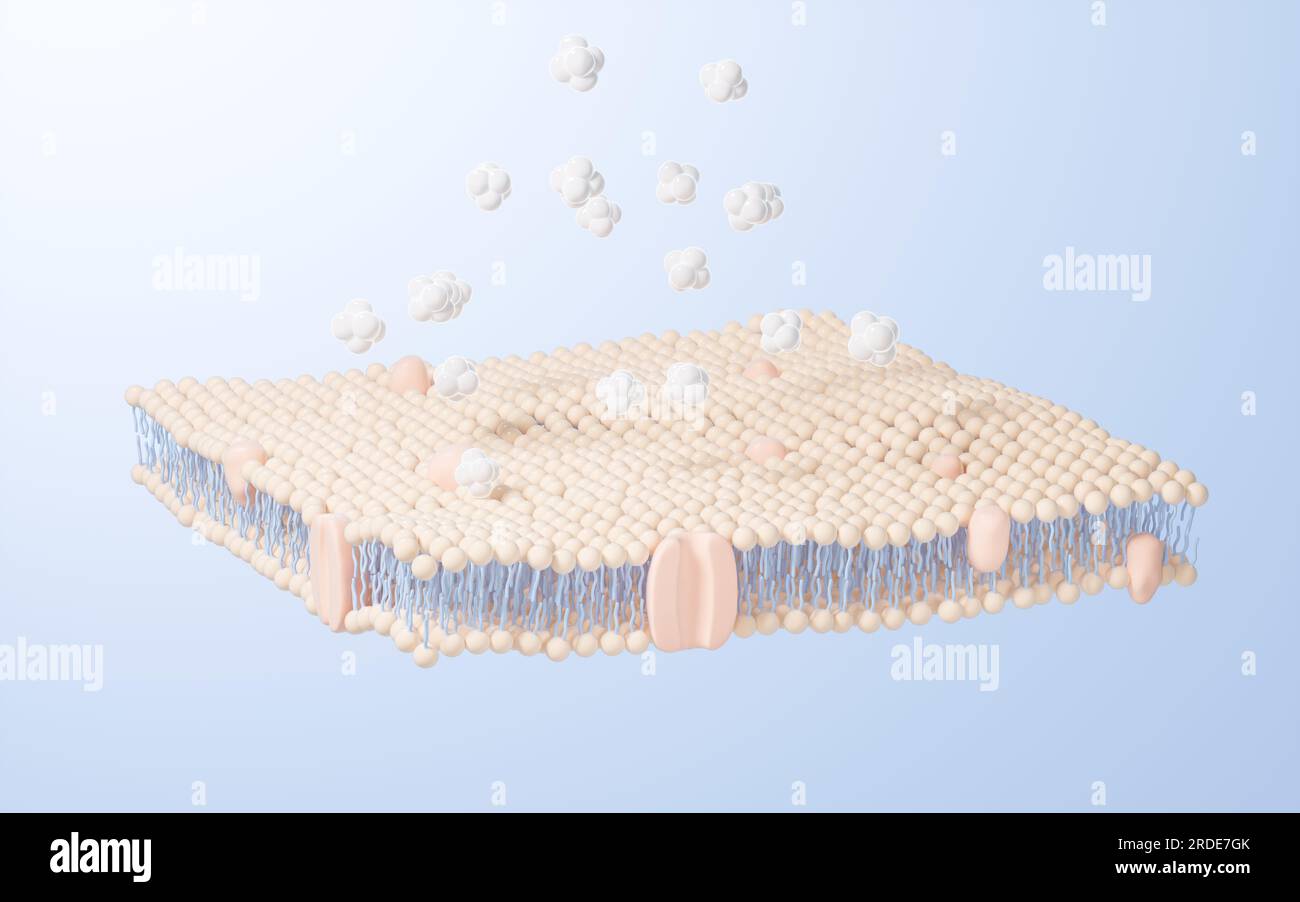 Cell membrane structure background, 3d rendering. Digital drawing Stock ...