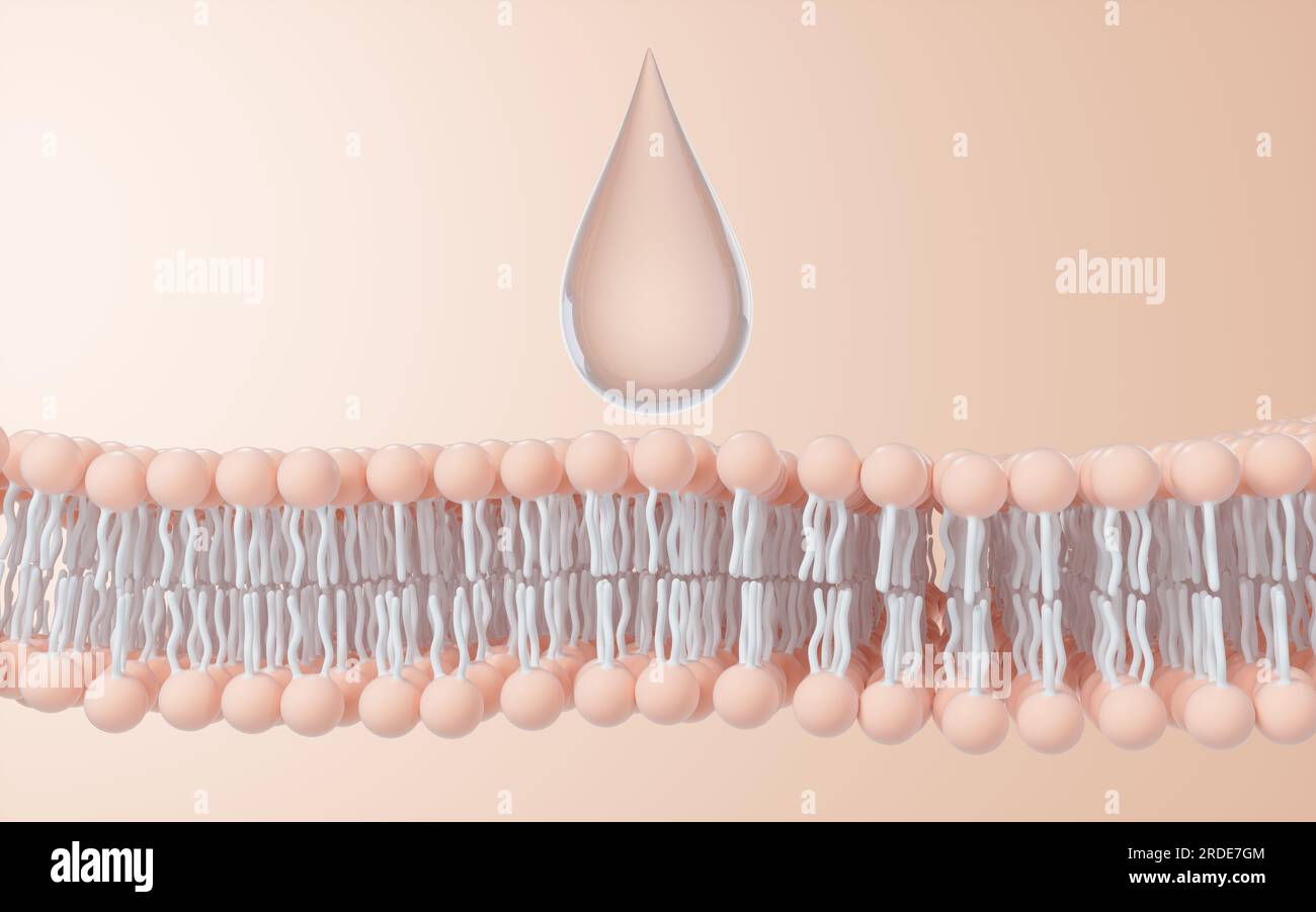 Cell membrane structure background, 3d rendering. Digital drawing Stock ...