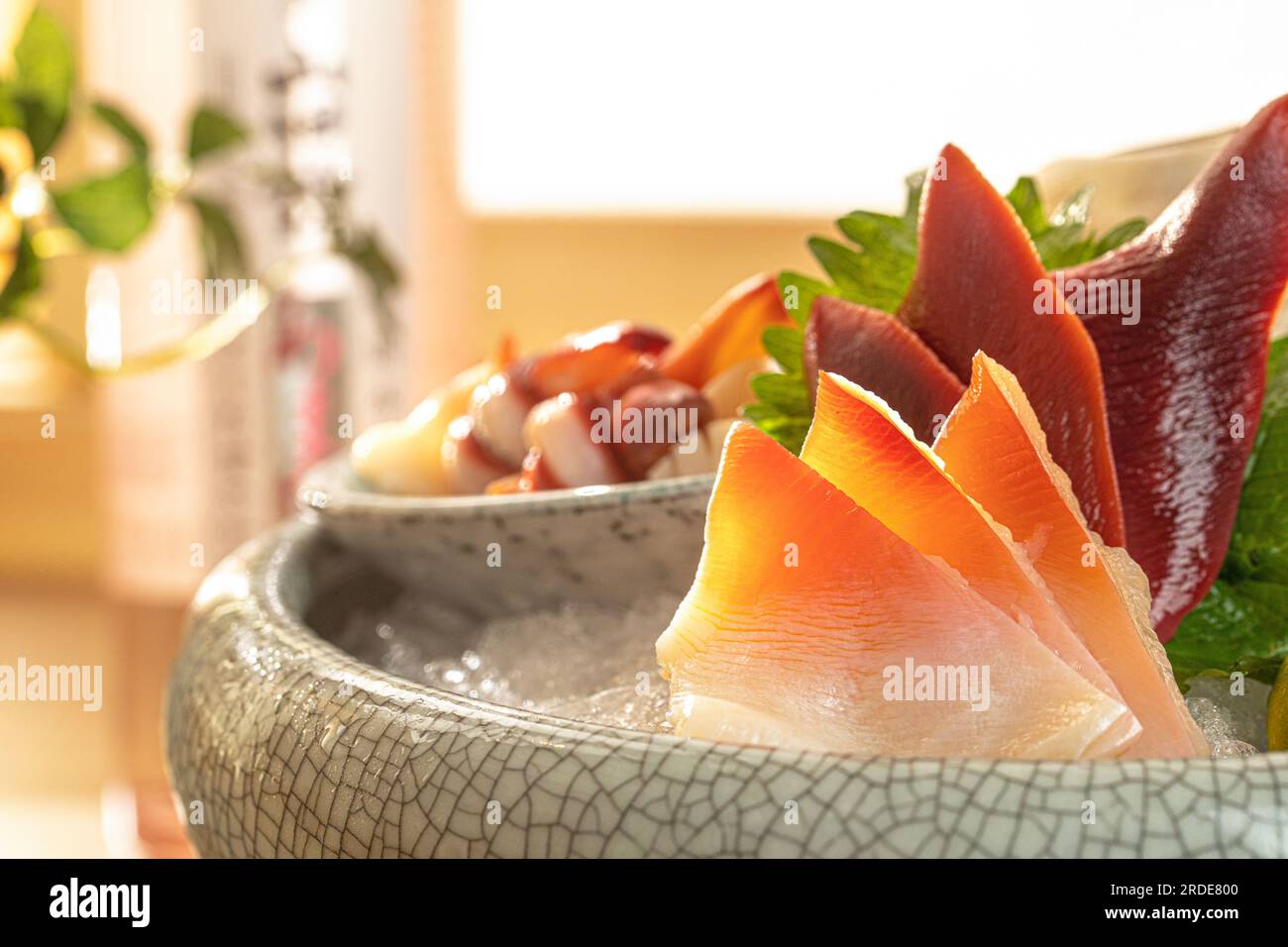 arctic shellfish Sashimi,fresh sashimi set on ice, Japanese food Stock ...