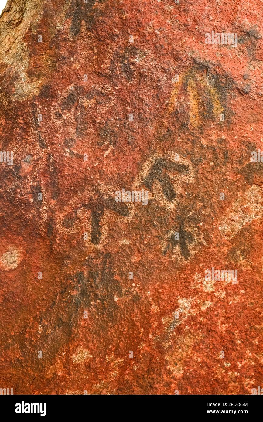 Aboriginal rock art at Uluru Kata Tjuta National Park in Central ...