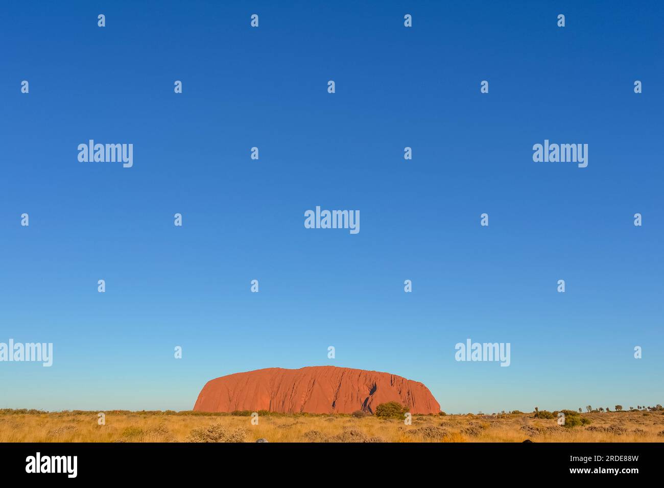 Beautiful view of Uluru, Ayers rock before sunset at Uluru-Kata Tjuta ...