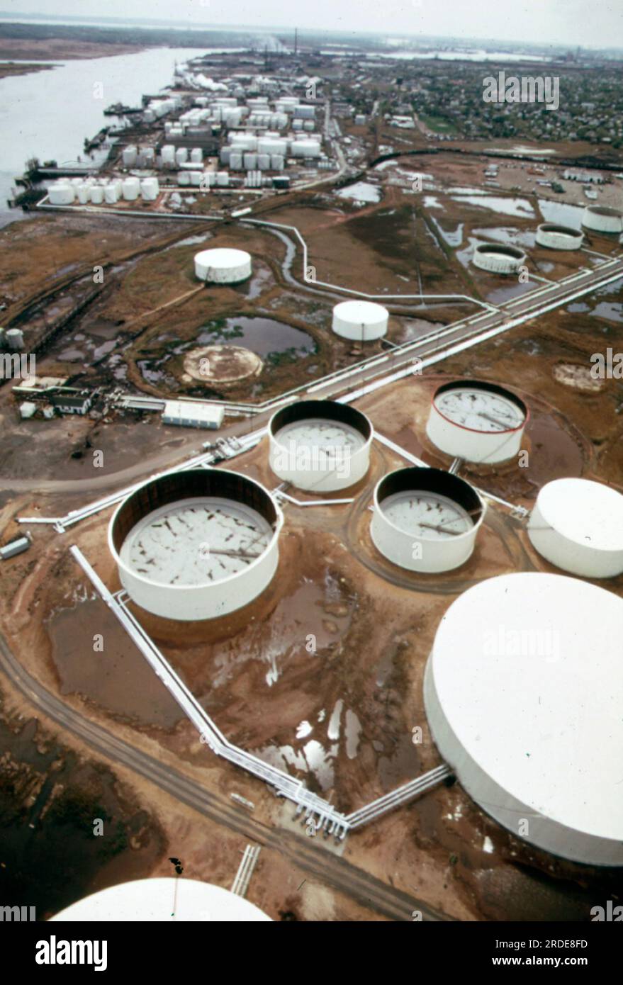 Plant of river hi-res stock photography and images - Alamy