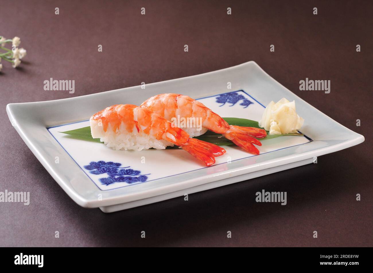 Sergestid shrimp hi-res stock photography and images - Alamy
