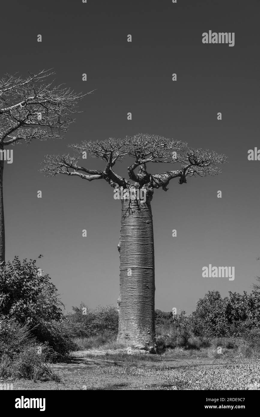 Beautiful color sky extraordinary Black and White Stock Photos & Images ...