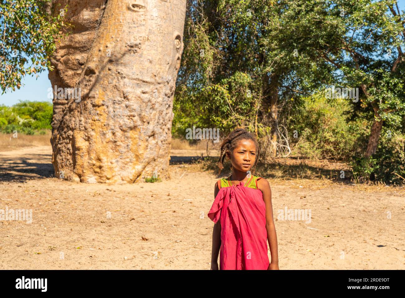Morondava, Madagascar - May 29. 2023: Girl in red dress at the Baobab in love in Morondava Stock ...