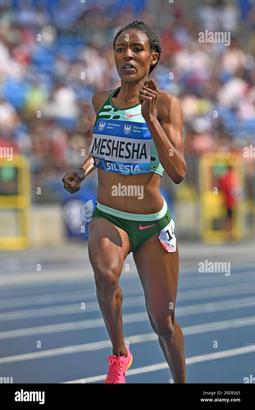 54 87 skolimowska memorial hi-res stock photography and images - Alamy