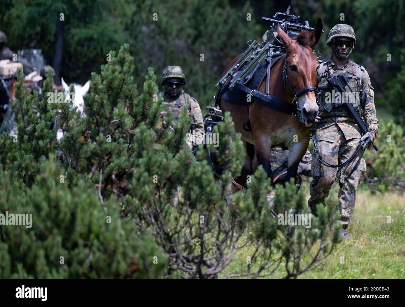 Soldiers with mules hi-res stock photography and images - Alamy