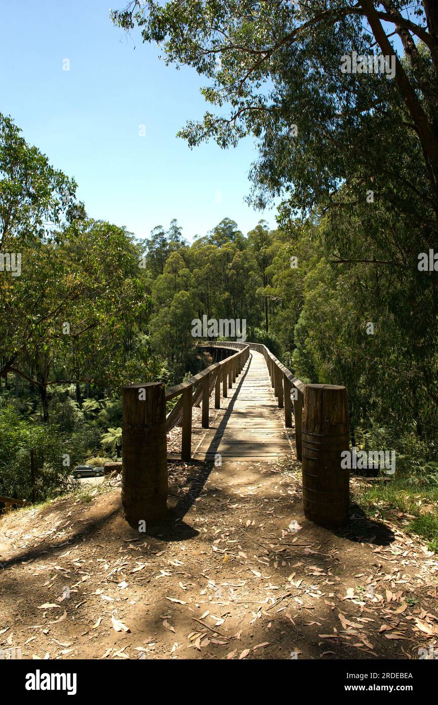 The Noojee Trestle was built to carry the railway from Warragul to ...