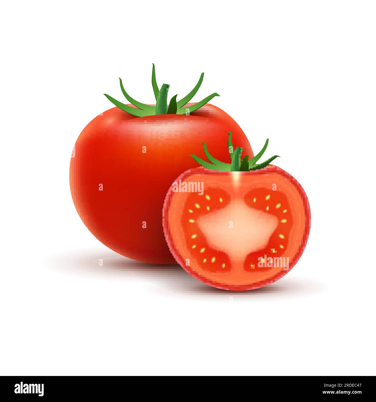 Photo of tomato Stock Vector Images - Alamy