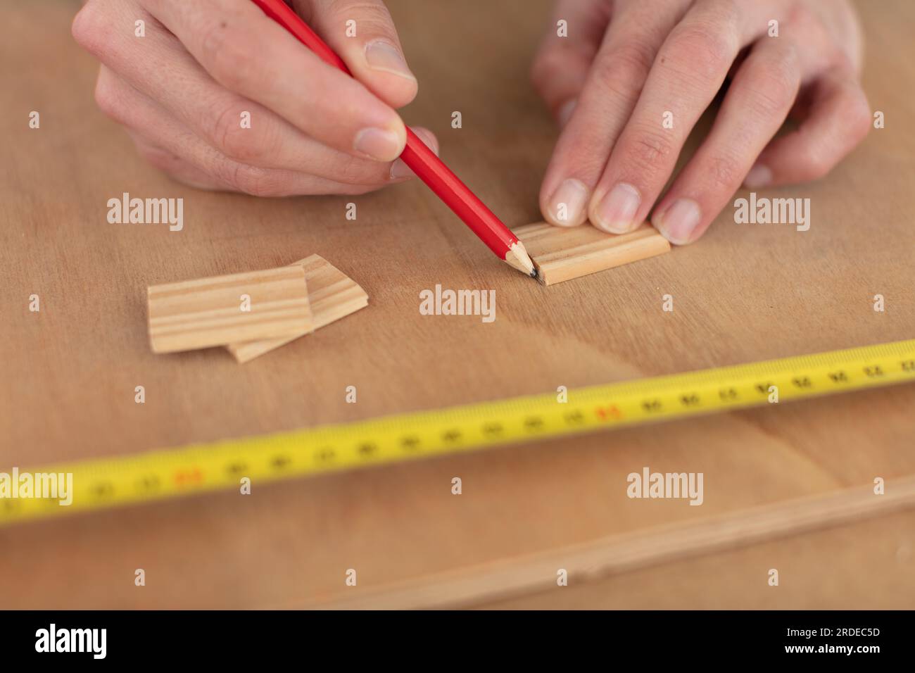 hardworking focused professional serious carpenter woman Stock Photo ...