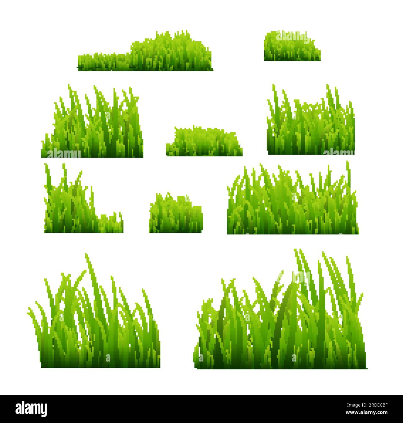 Cross section plant growing flower Stock Vector Images - Alamy