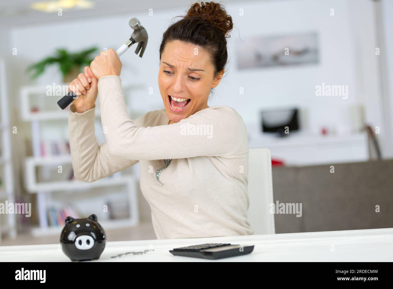 breaking the piggy bank pig Stock Photo - Alamy