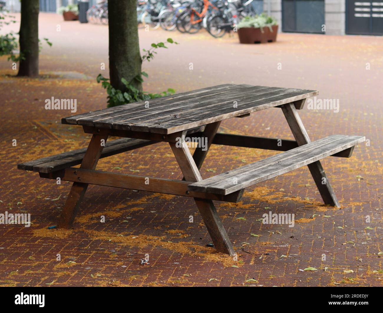 Wood Bench in Arnhem, The Netherlands Stock Photo - Alamy