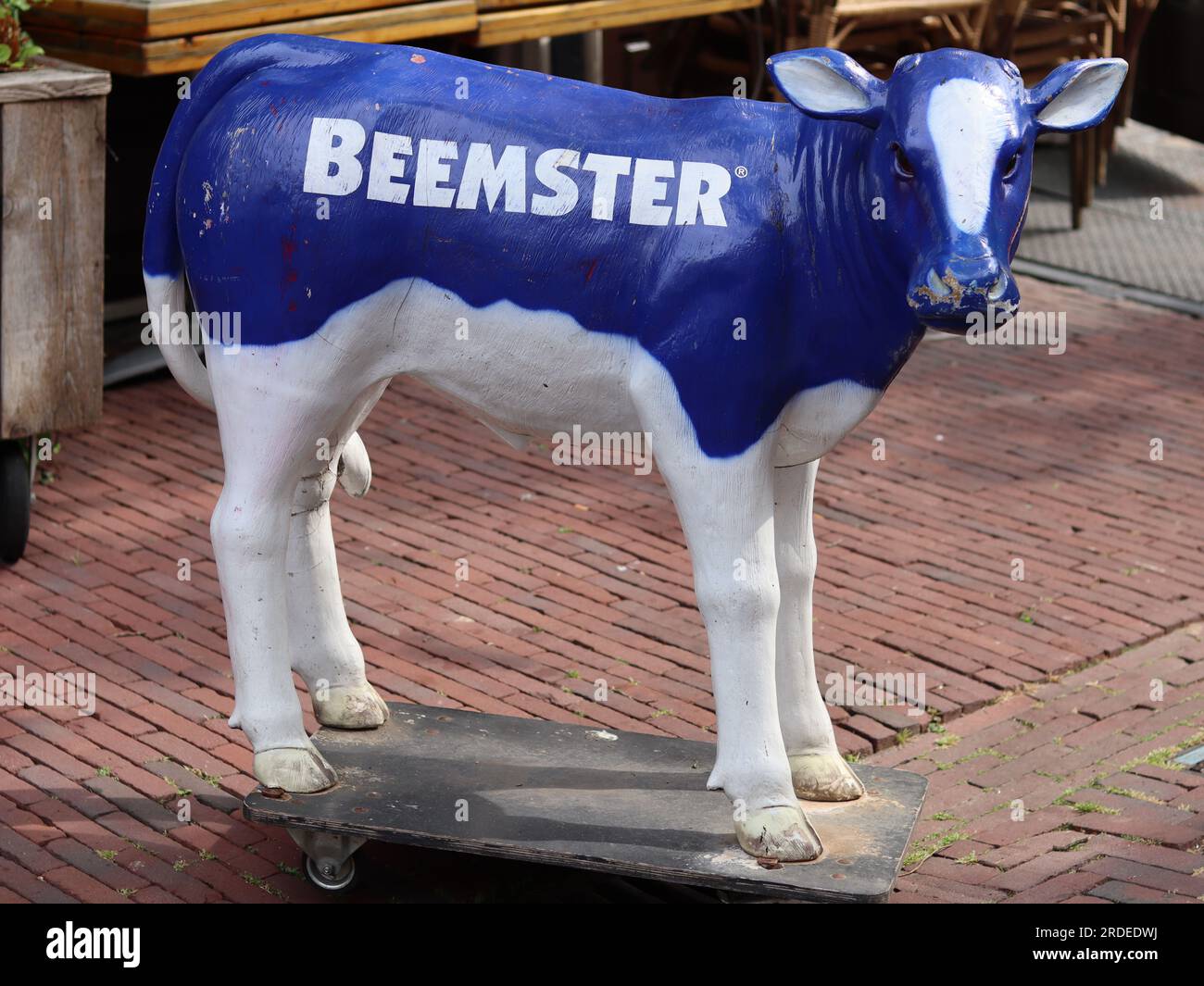 Beemster netherlands hi-res stock photography and images - Alamy