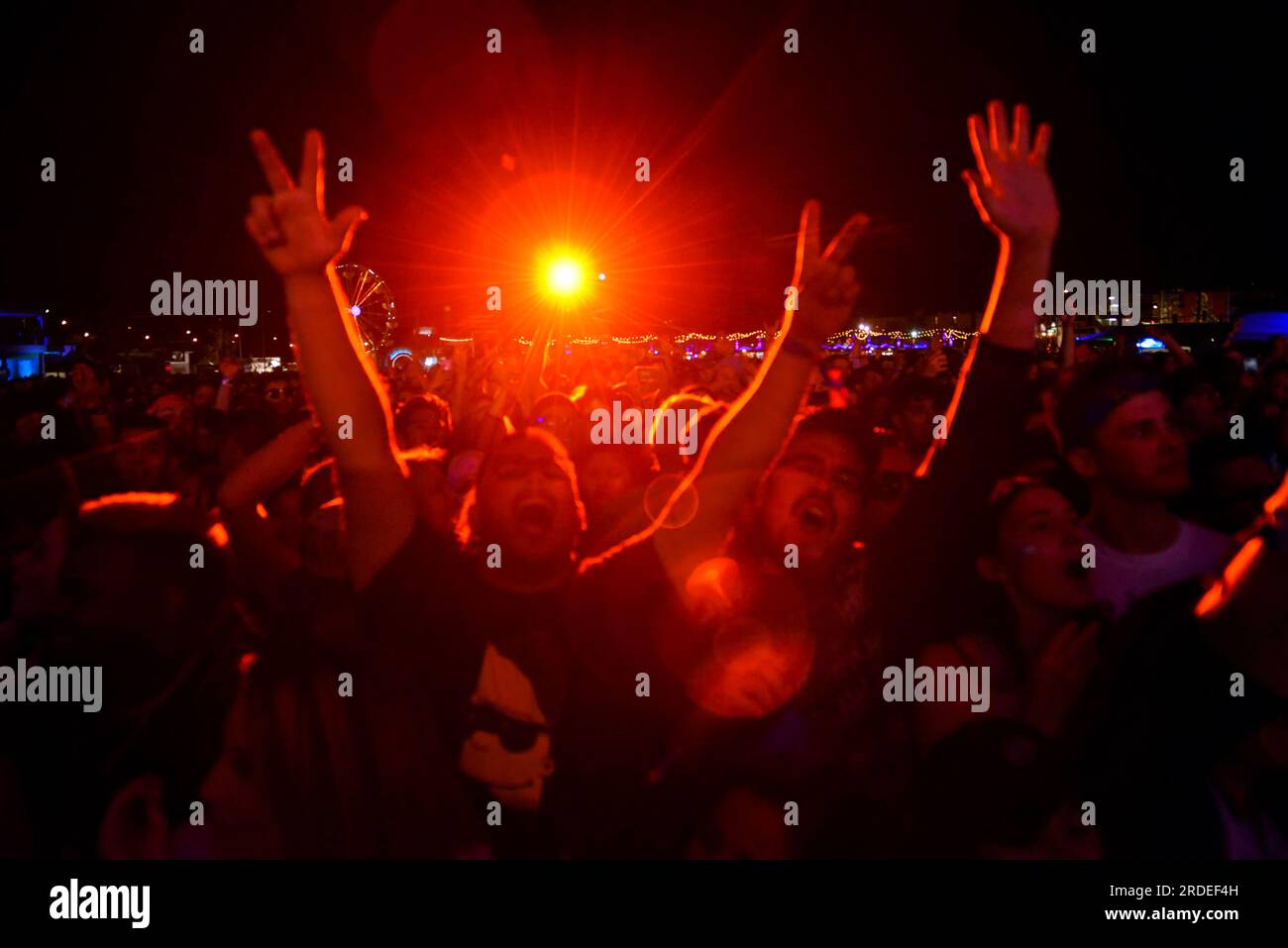 Concert Crowd, with excitement Stock Photo - Alamy