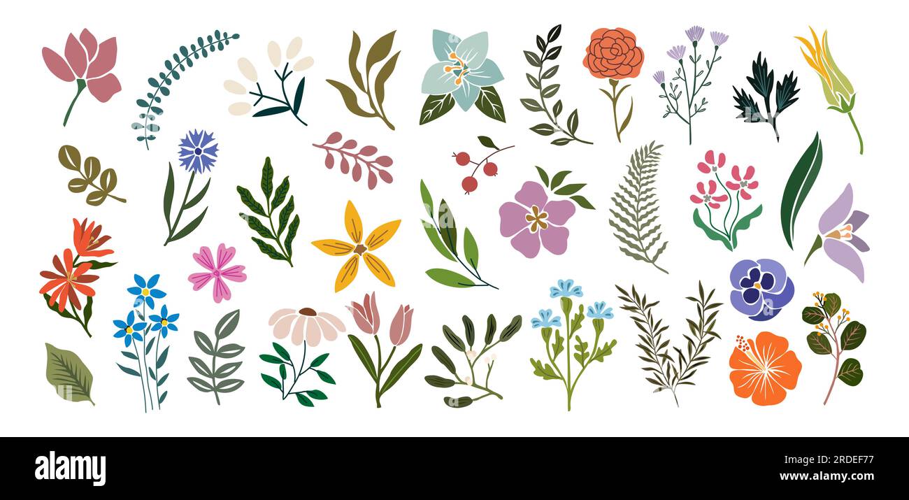 Set of hand drawn floral design elements vector Stock Vector Image ...