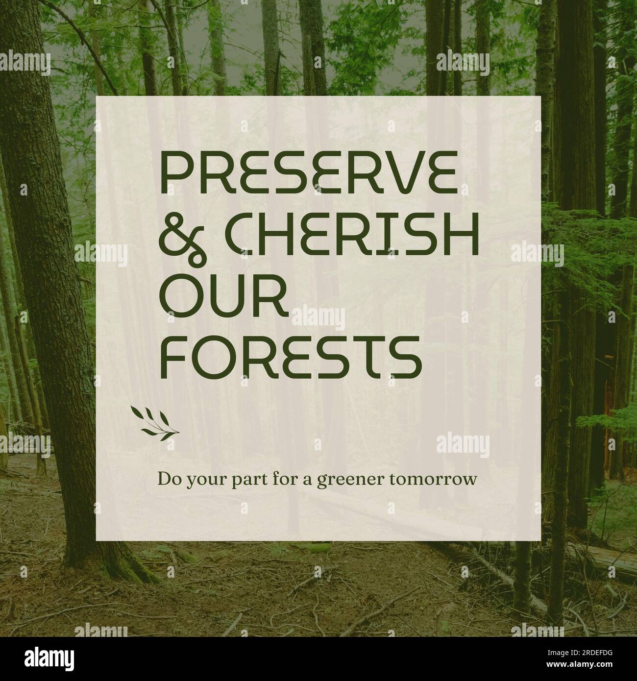 Composite of preserve and cherish our forests text over forest ...
