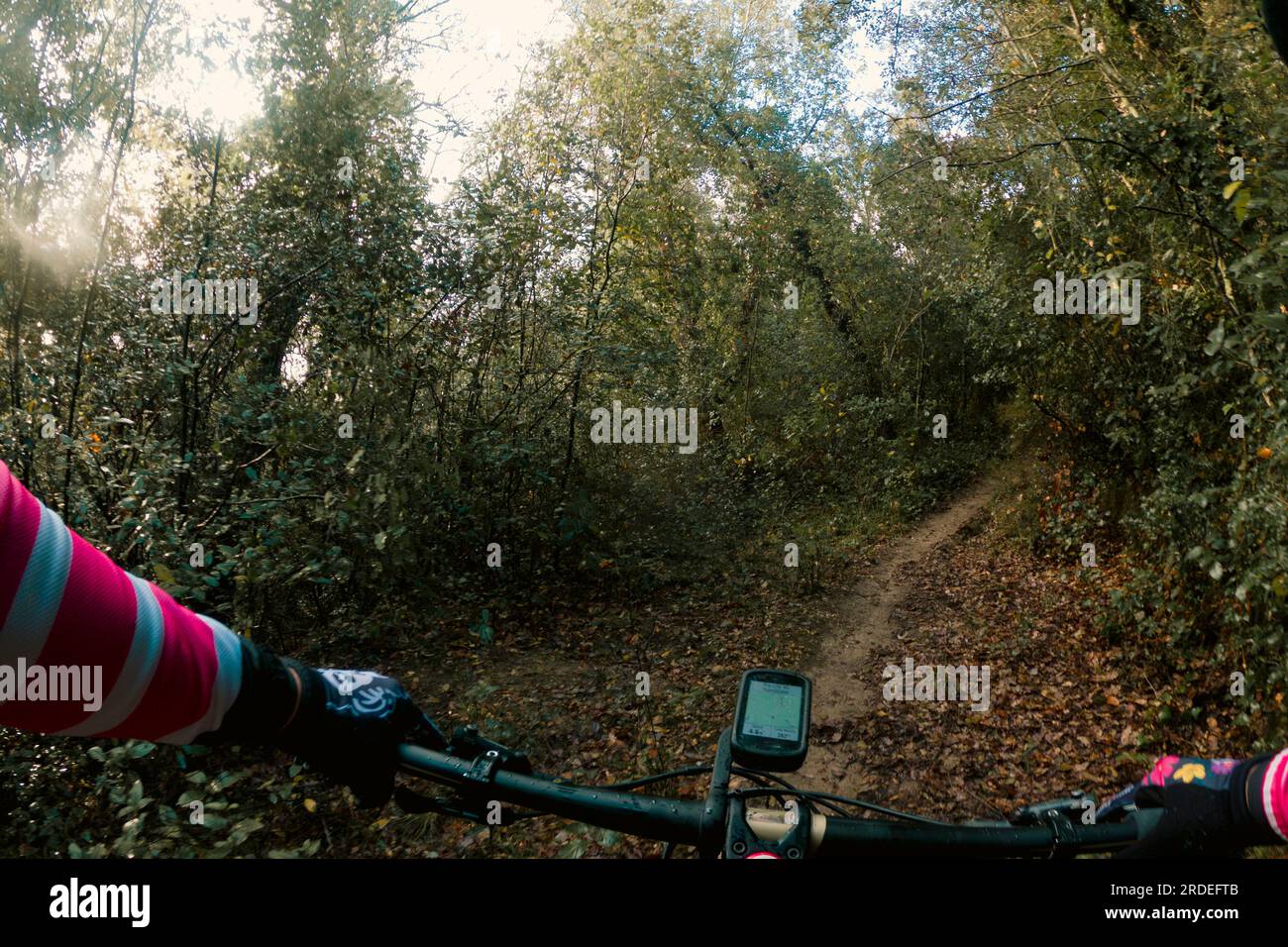 Riding on a single track hi-res stock photography and images - Alamy
