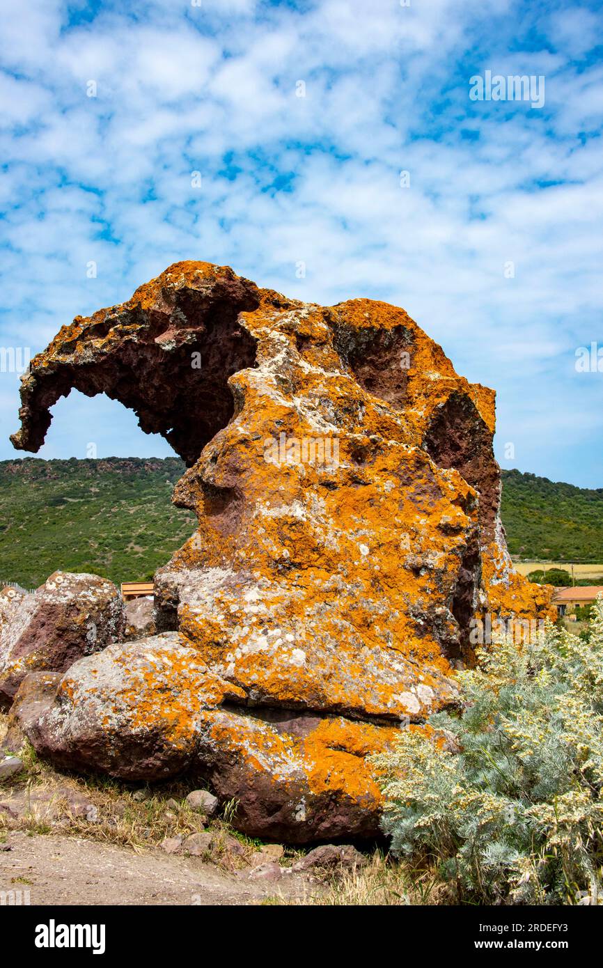 Sardinia roccia elefante hi-res stock photography and images - Alamy