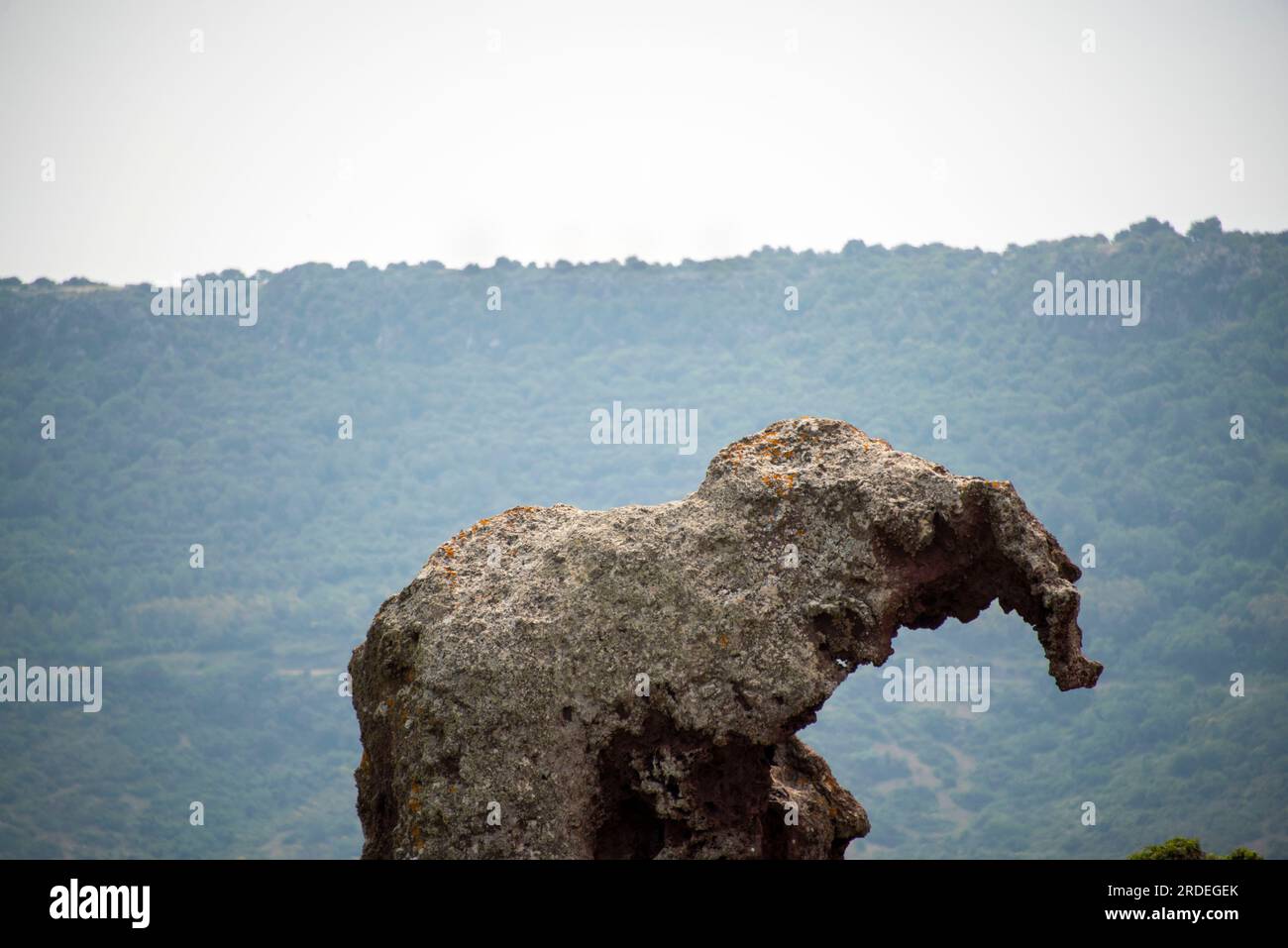 Sardinia roccia elefante hi-res stock photography and images - Alamy