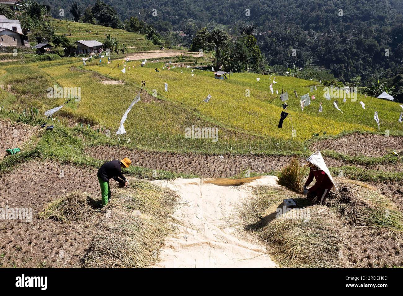 Bogor, Bogor Regency of West Java province in Indonesia. 20th July ...