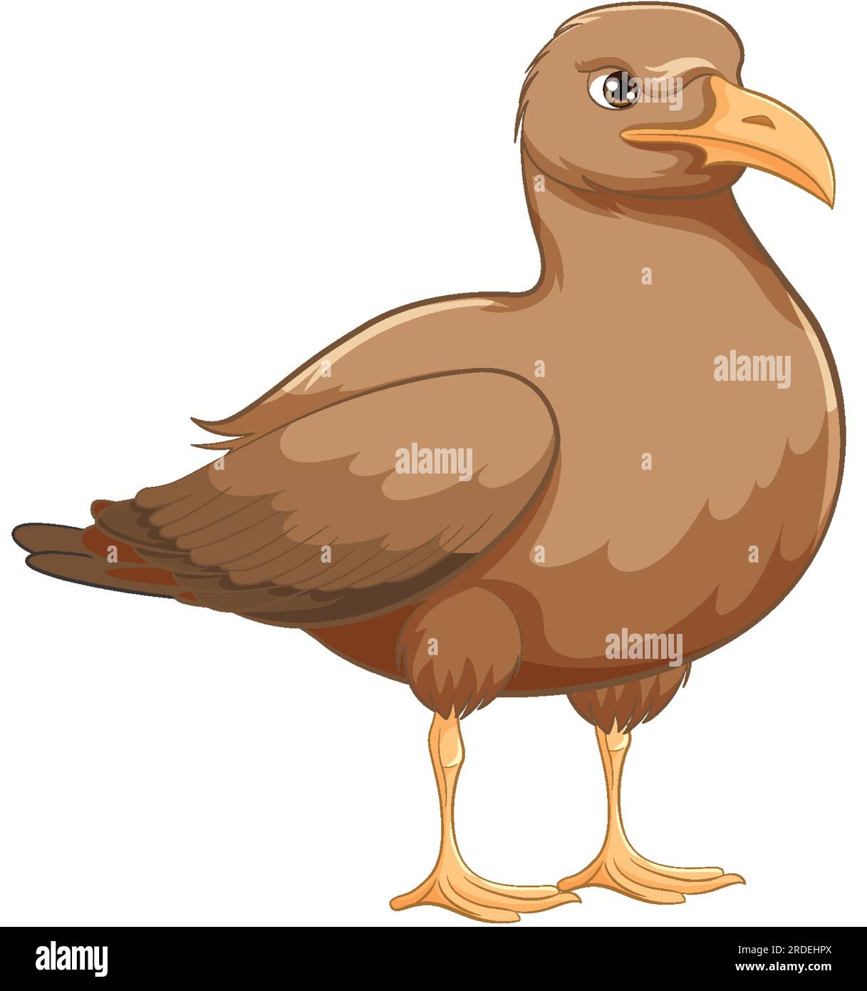 A vector cartoon illustration of a brown bird standing isolated on a ...
