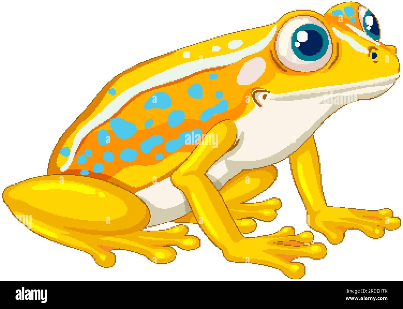 A vector cartoon illustration of a bright yellow frog isolated on a ...