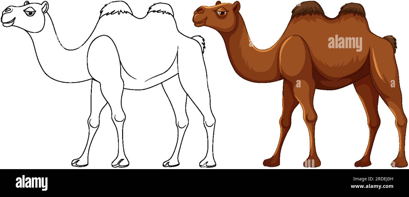A vector cartoon illustration of a camel walking with its outline for ...