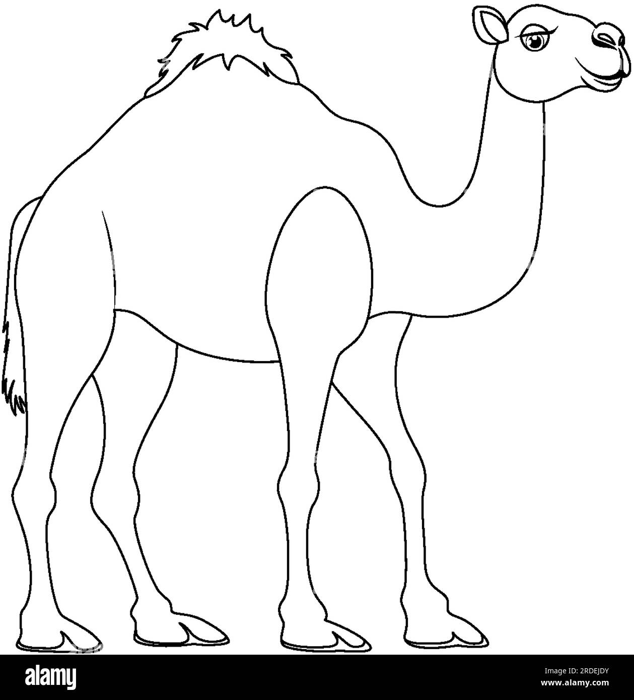 A vector cartoon illustration of a camel walking, isolated on a white ...