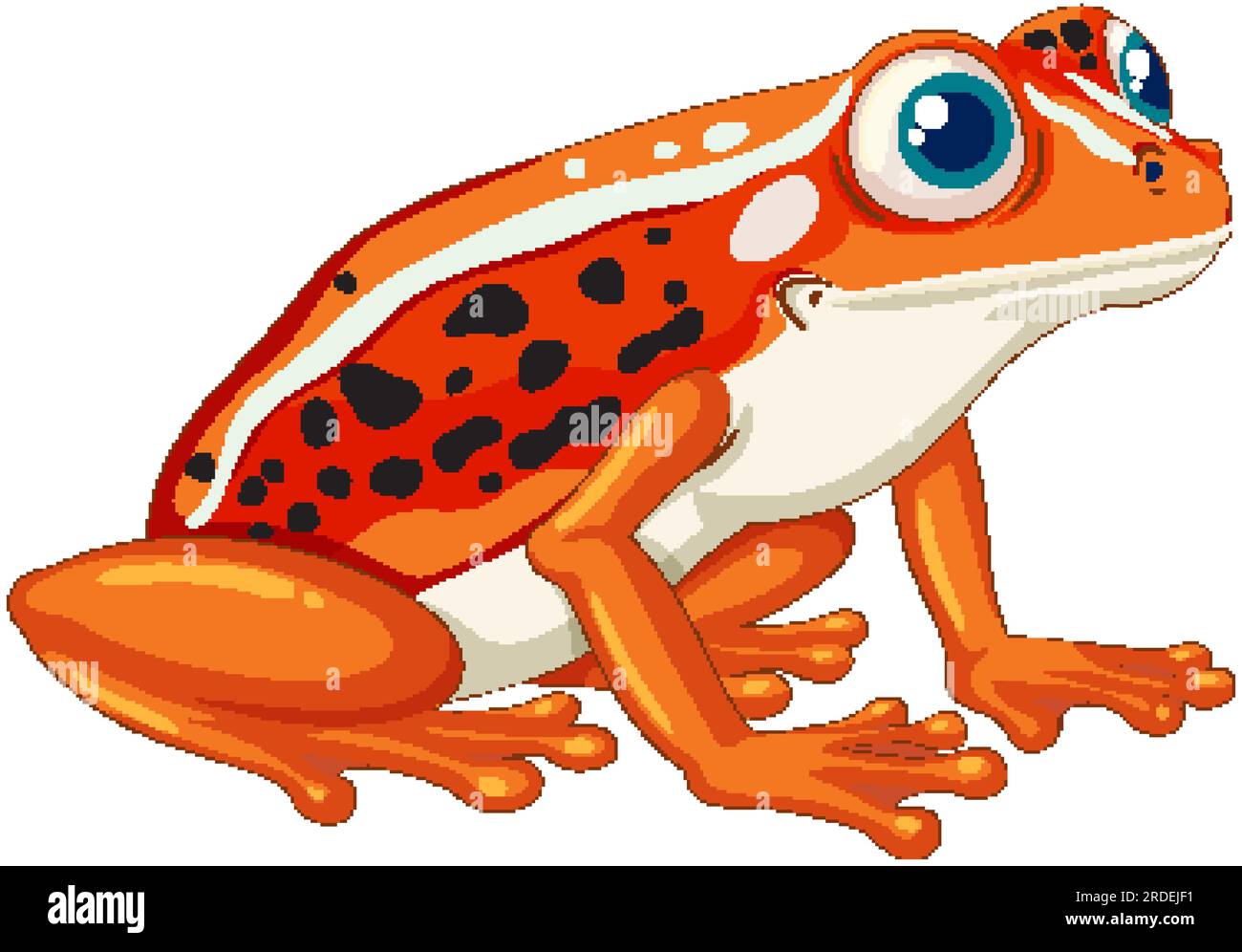 An isolated vector cartoon illustration of an orange frog on a white ...
