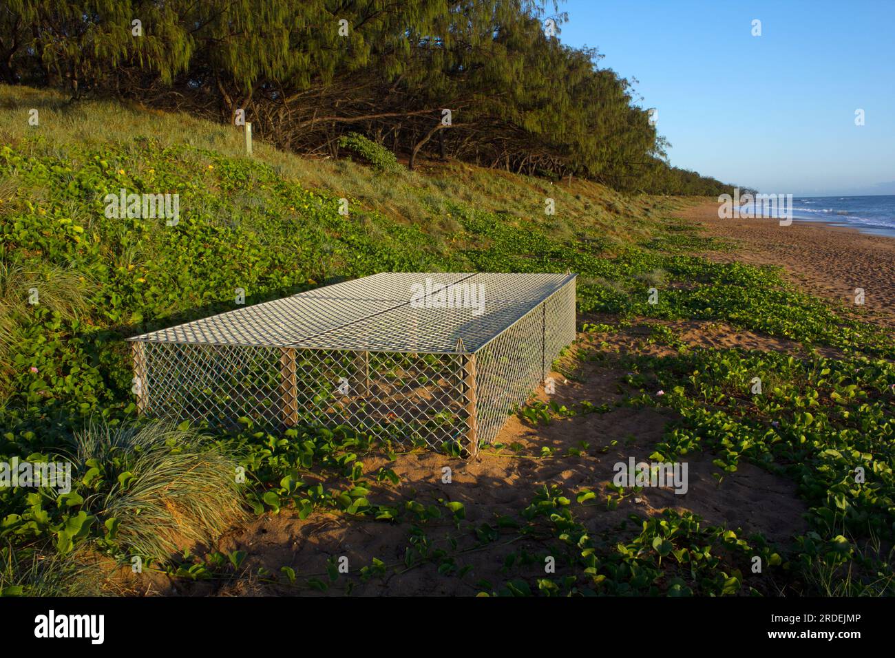 Environmental influences hi-res stock photography and images - Alamy