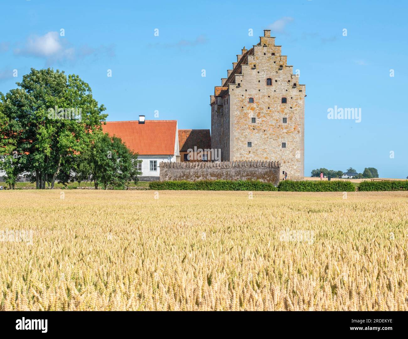 Medieval scandinavian architecture hi-res stock photography and images ...