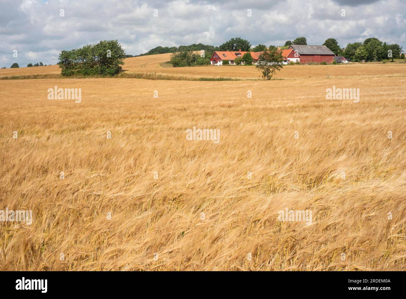 Barley house hi-res stock photography and images - Alamy