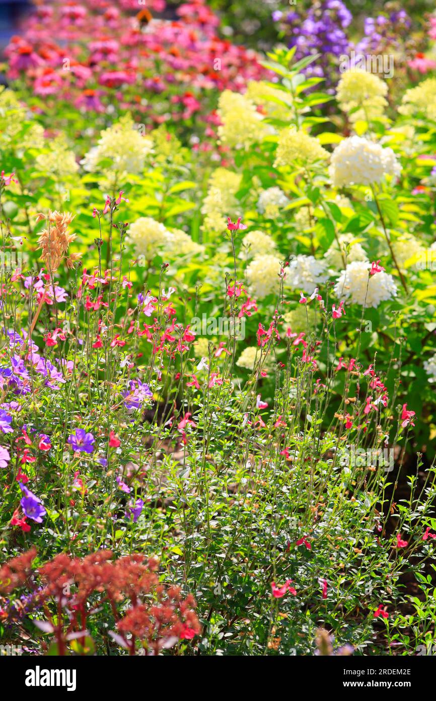 Magnificent flower garden, Germany Stock Photo - Alamy