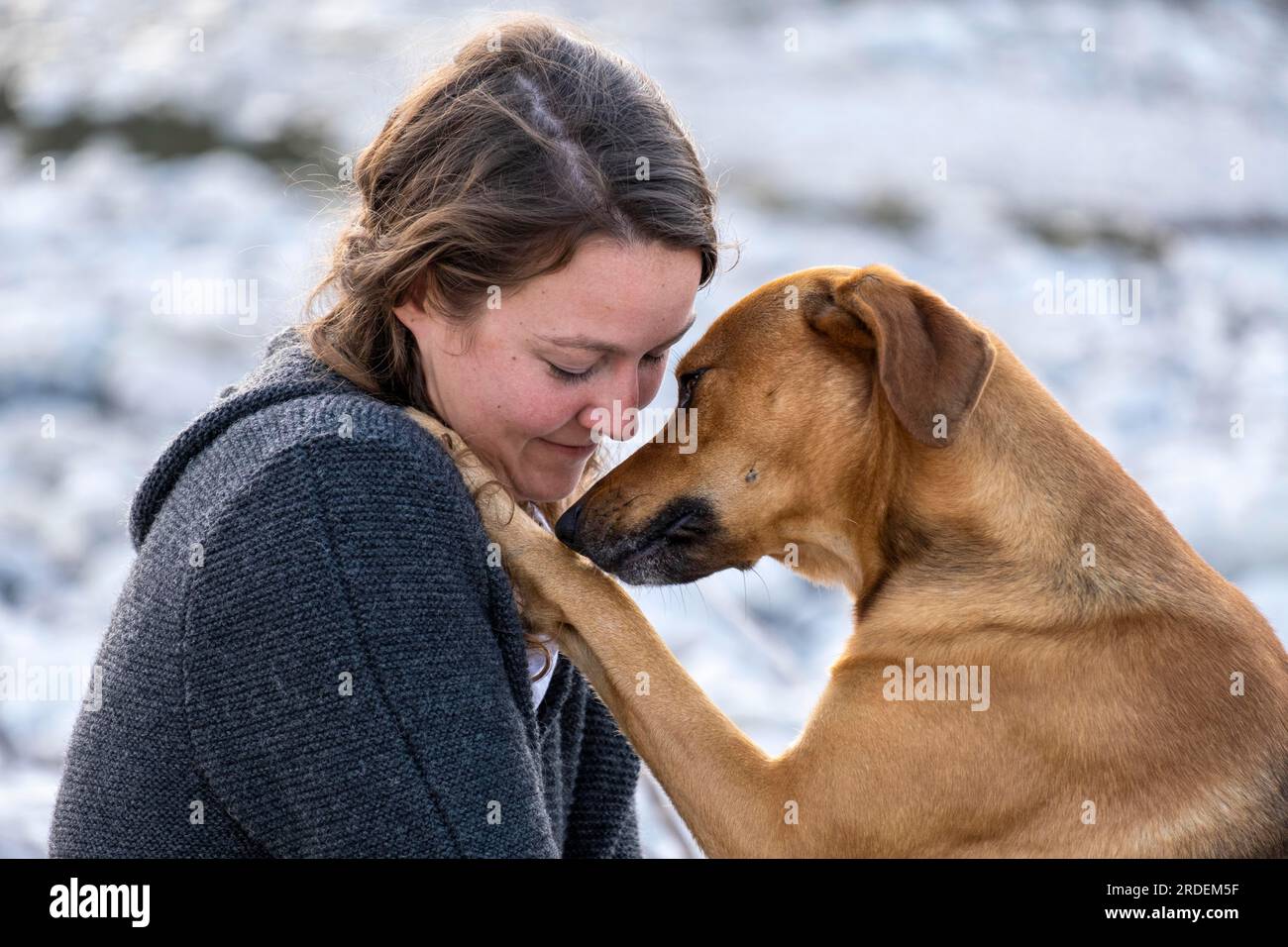 Love for animals hi-res stock photography and images - Alamy