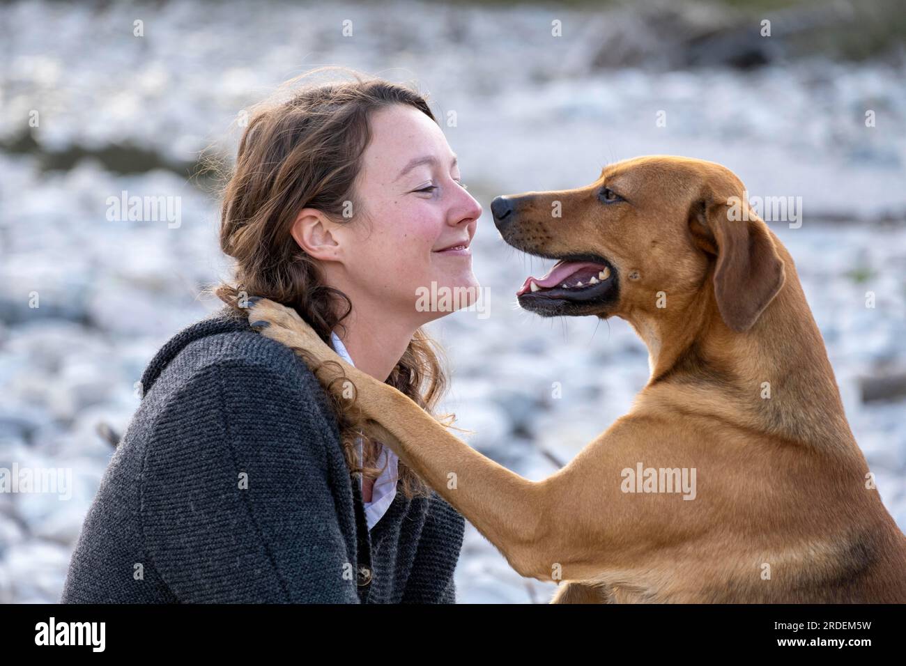 Young woman with her dog, intimate relationship, love of animals, Upper ...