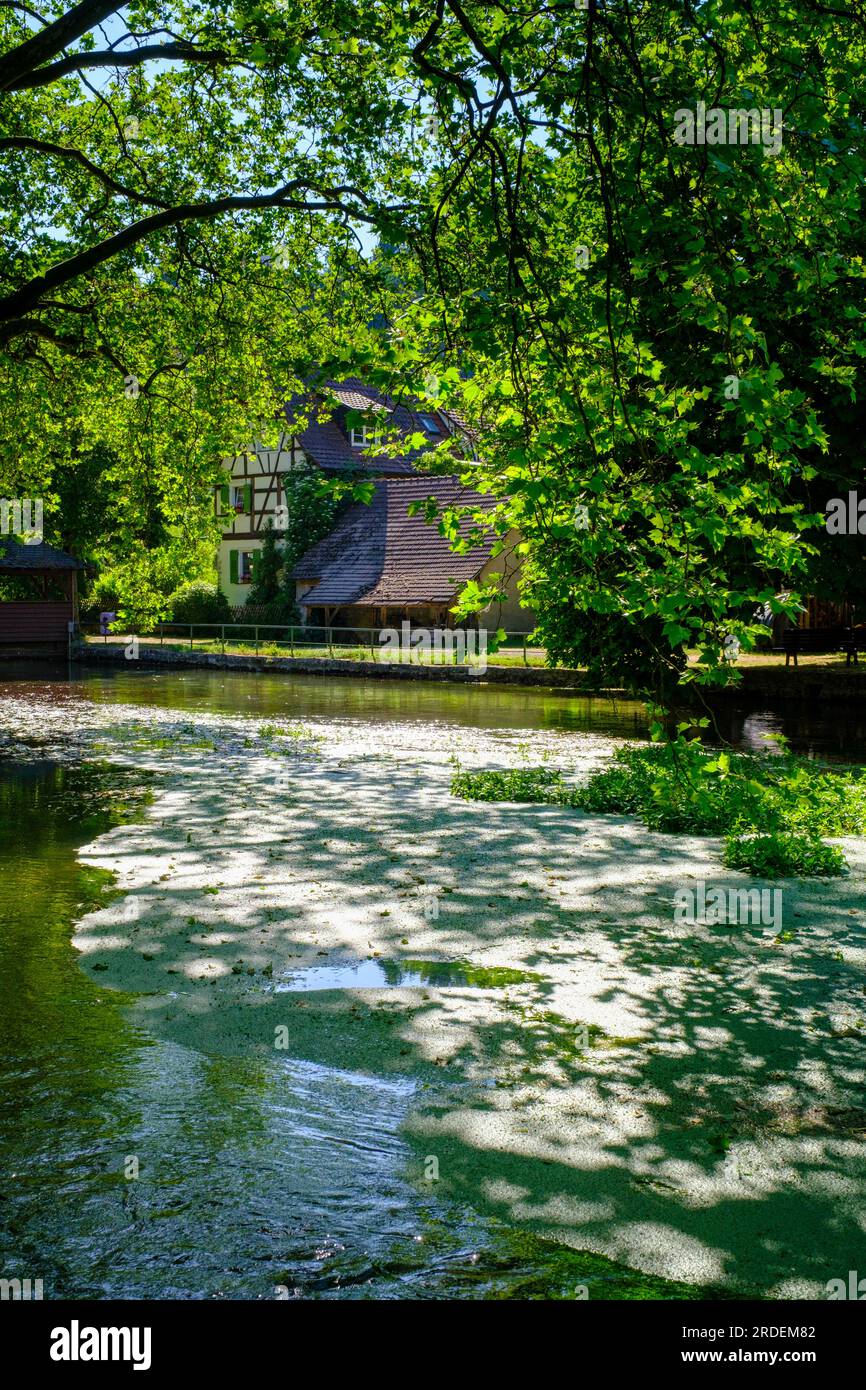 Radolfzeller aach hi-res stock photography and images - Alamy