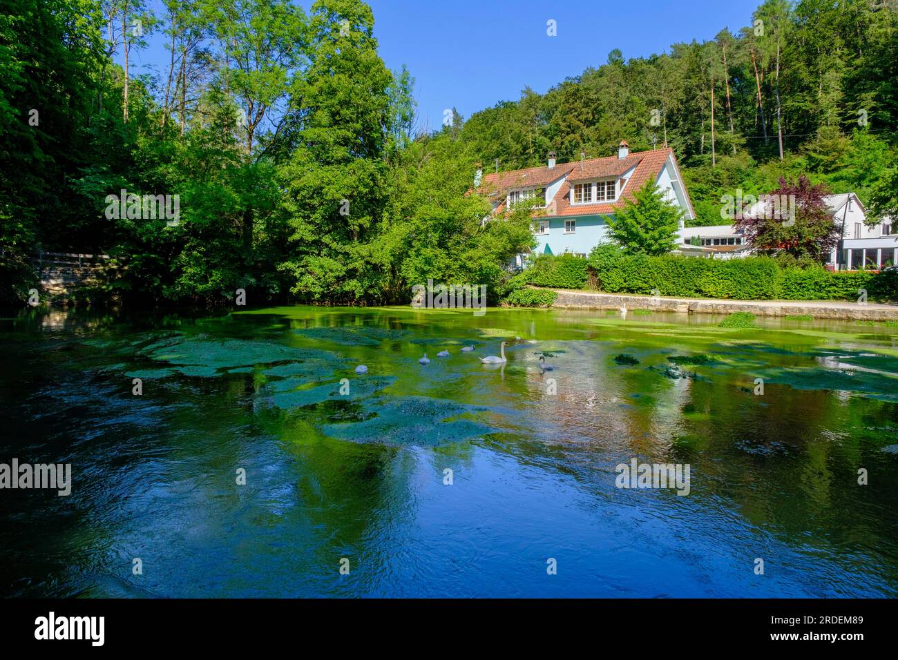 Radolfzeller aach hi-res stock photography and images - Alamy