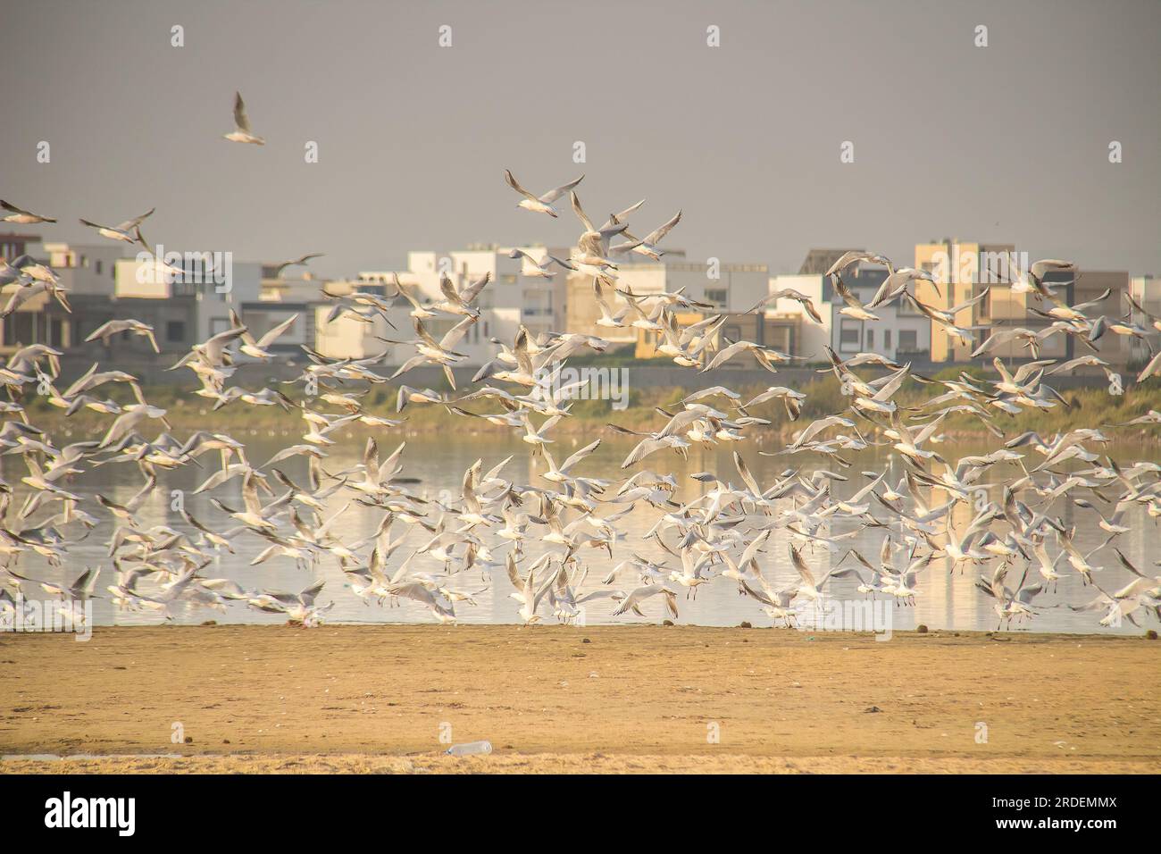 Skyward spectacle hi-res stock photography and images - Alamy