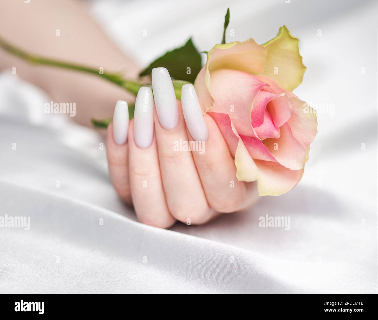 Stylish trendy female manicure. Beautiful young woman's hands with ...