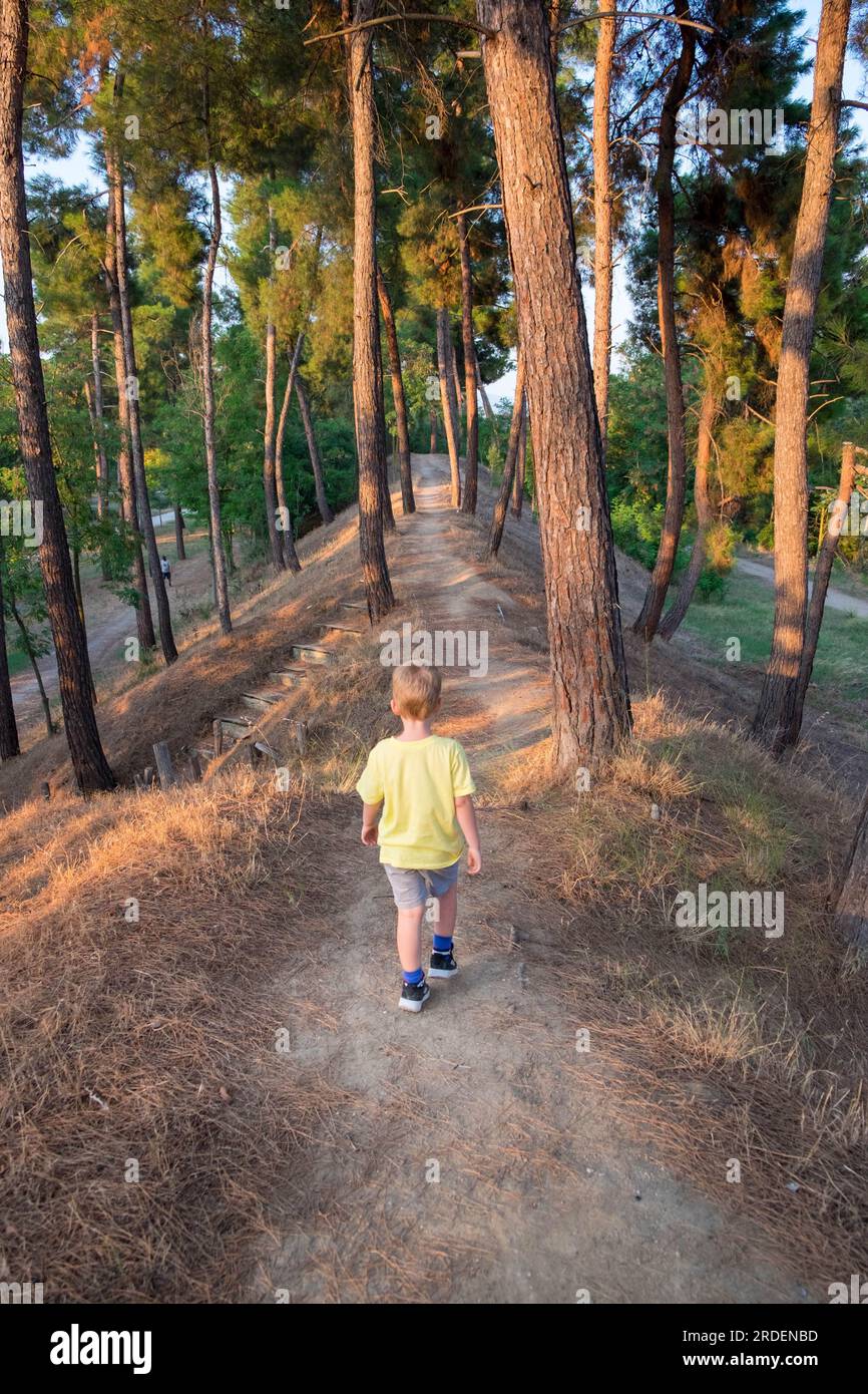 Little boy with blond hair waking in a path surrounded by trees Stock ...