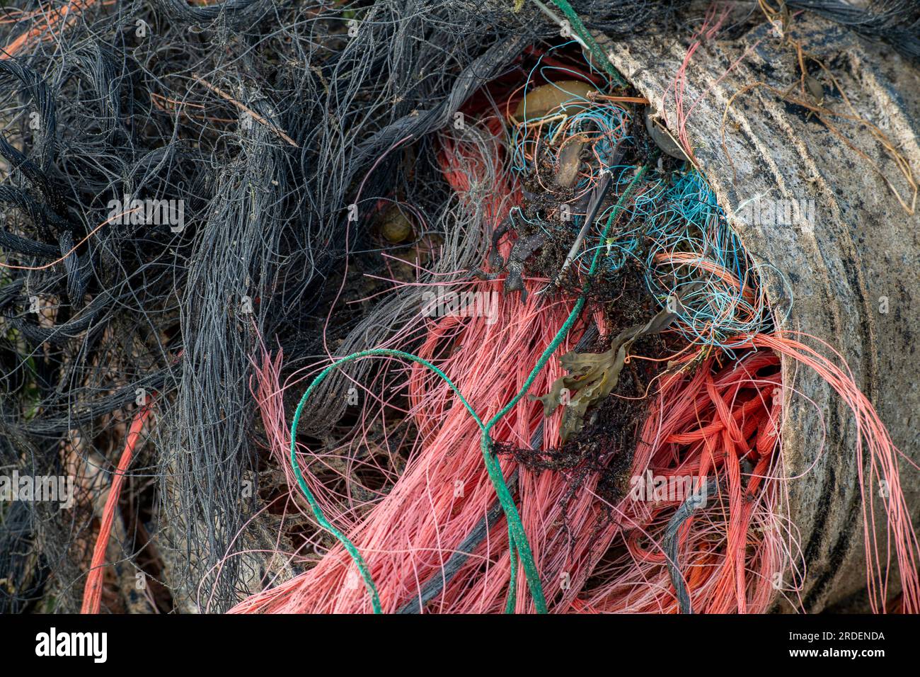 ropes and wires tangled in abstract composition, washed up on beach ...
