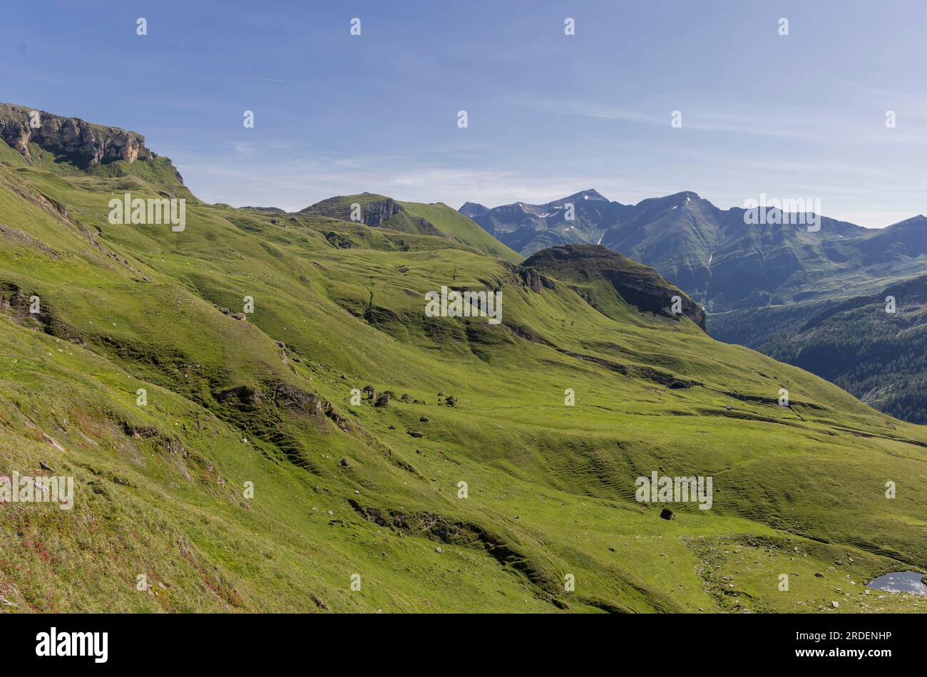 Alpine pasture landscape in summer, Salzburgerland, Grossglockner Stock ...
