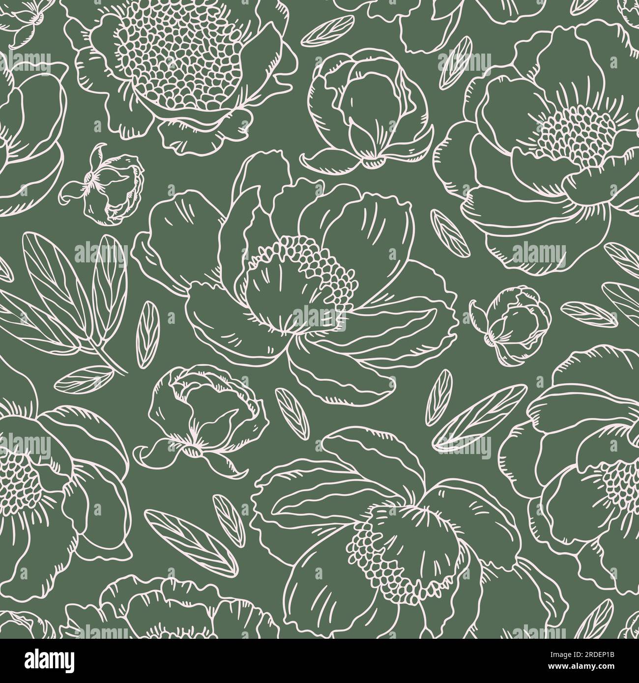 Peony flowers outline seamless pattern on green background. Hand drawn ...