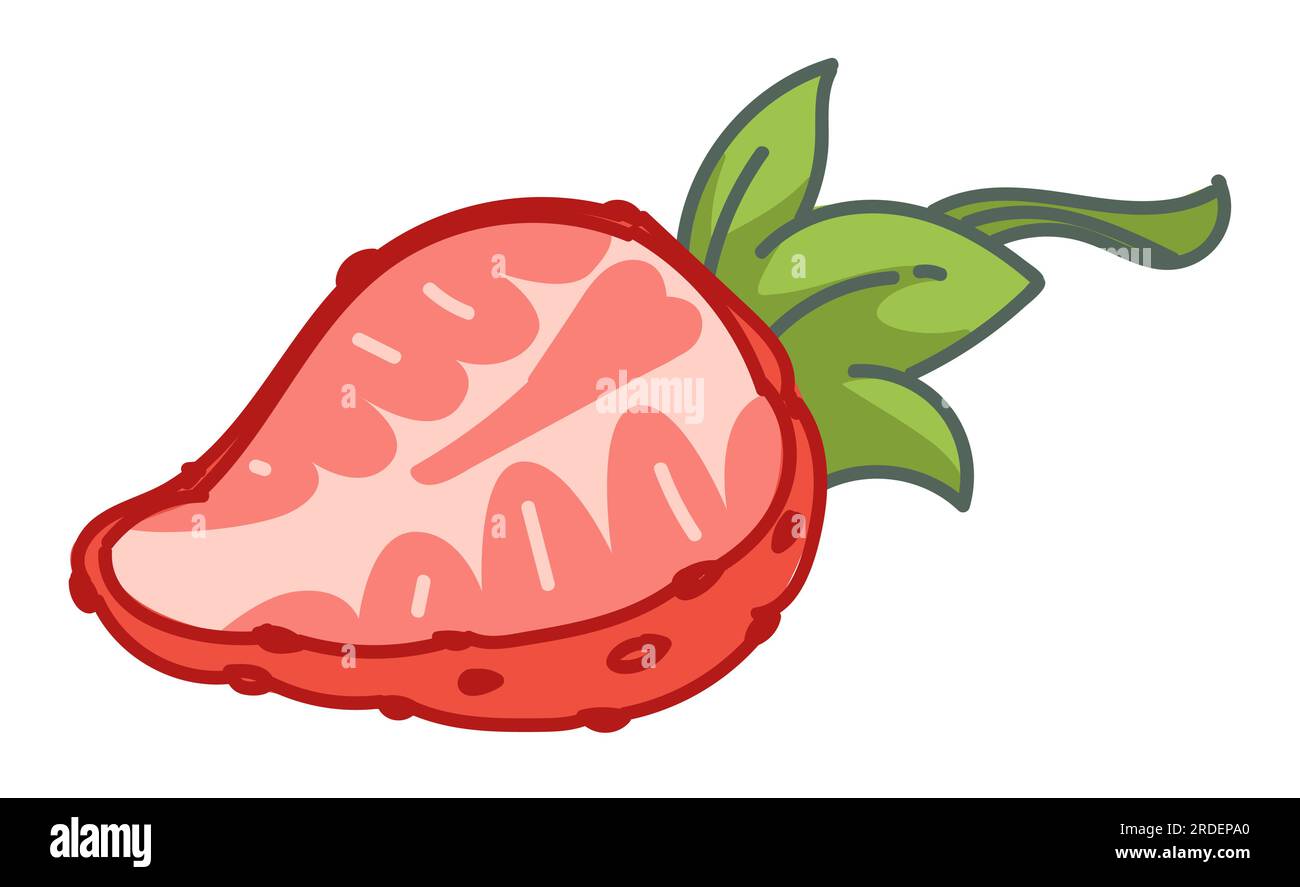Strawberry ripe berry cut in half, organic food Stock Vector Image ...